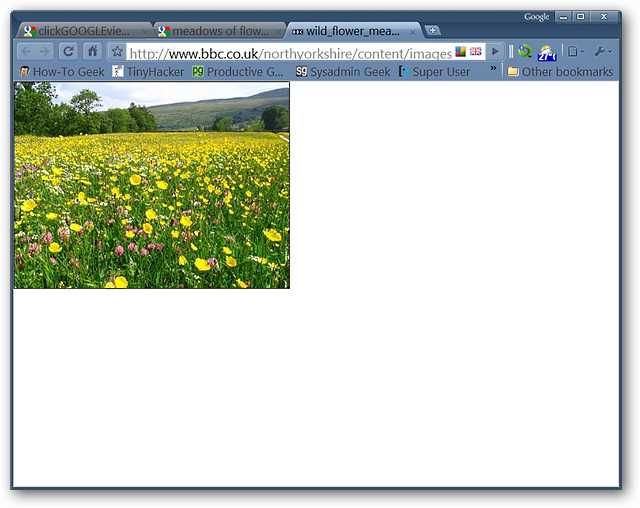 Google Image Search Quick Fix