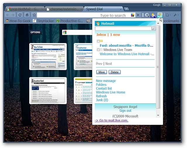 Manage Your Windows Live Account in Google Chrome