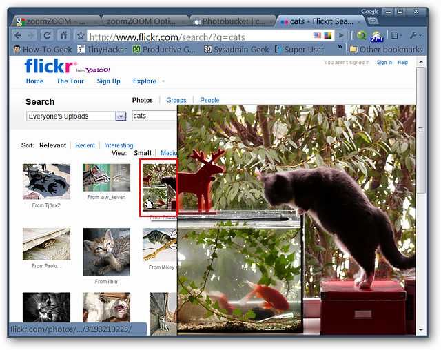 Enjoy Image Zooming on Your Favorite Photo Websites in Chrome