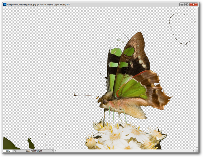 3 Easy Tips to Fix Ugly Edges When Removing Backgrounds