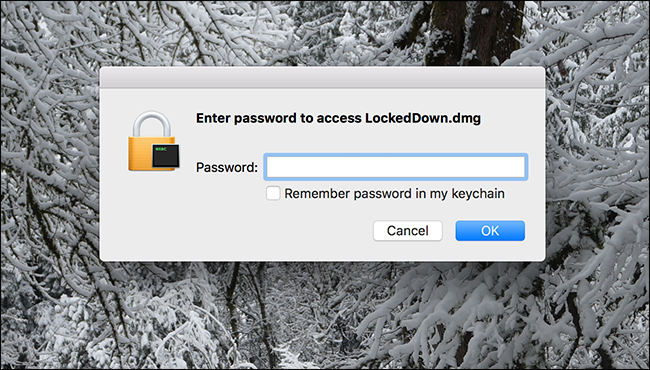 How to Create an Encrypted Disk Image to Securely Store Sensitive Files on a Mac