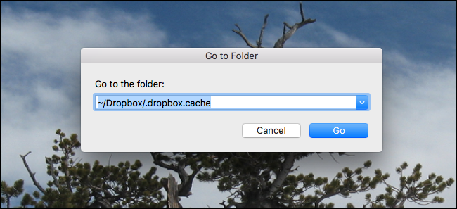 How to Clear Your Dropbox Cache in Windows, macOS, and Linux