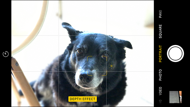 How to Use the iPhone's Portrait Mode