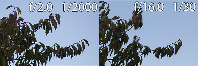 What Is a "Fast" Camera Lens?