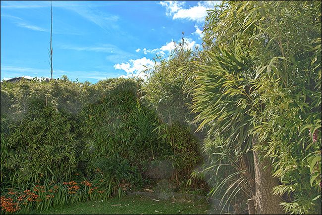 What Is Dynamic Range in Photography?