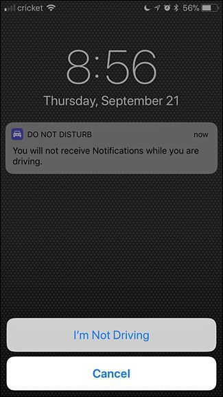 How to Automatically Enable Do Not Disturb on Your iPhone While Driving