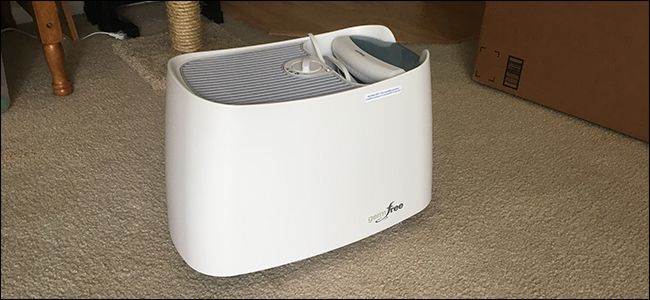 How to Monitor Humidity Levels in Your Home