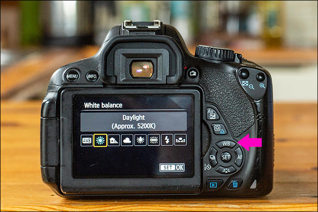 10 Camera Settings You Should Master on Your Canon Camera