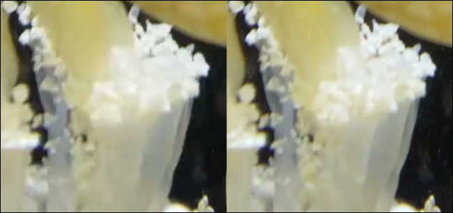 Process Video in the Cloud with AWS's Elastic Transcoder