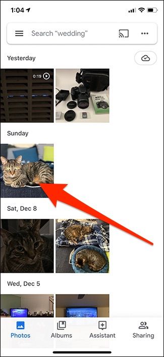 How to Use Google Lens on the iPhone