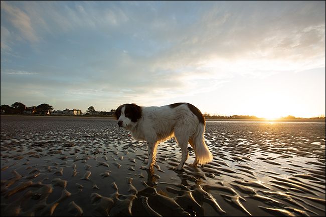 How to Assess and Analyze a Good Photo