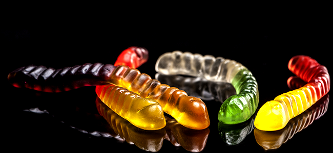 What Are Internet Worms, and Why Are They So Dangerous?