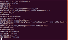 How To Work With Variables In Bash