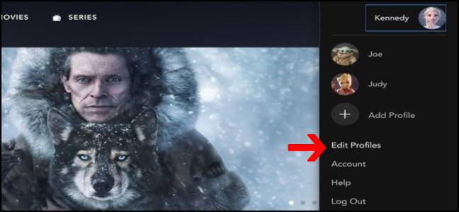 How to Change Your Disney+ Profile Picture