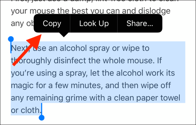 How to Quickly Add Links, Photos, and Media to Apple Notes on iPhone ...