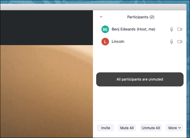 How to Mute Everyone on a Zoom Call