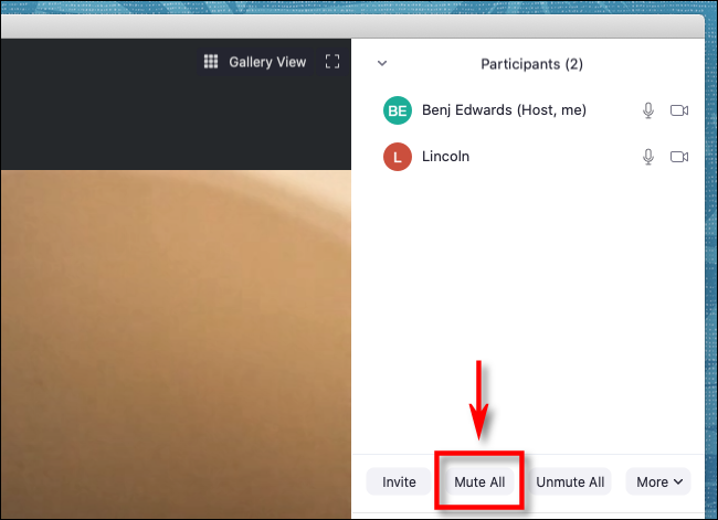 How to Mute Everyone on a Zoom Call