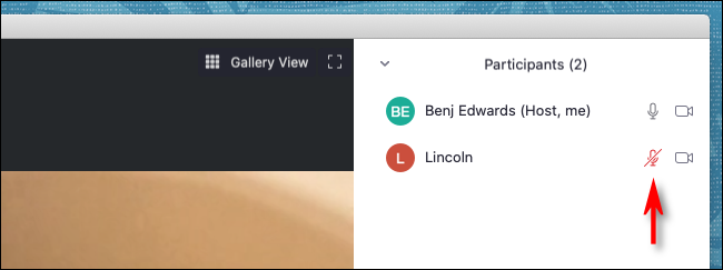How to Mute Everyone on a Zoom Call