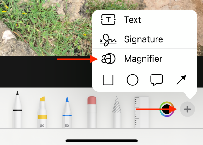 How to Magnify a Part of a Photo on iPhone and iPad
