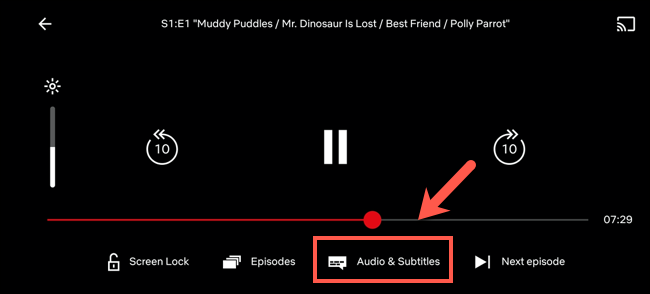 How to Change Your Netflix Profile, Subtitle, and Audio Language