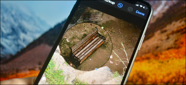How to Magnify a Part of a Photo on iPhone and iPad