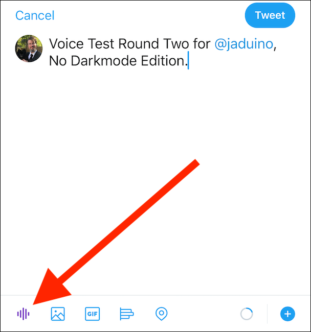 How to Record and Send a Voice Tweet in the Twitter App
