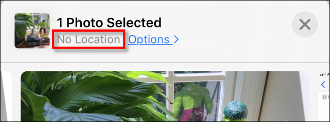 How to Remove Location Data When Sharing Photos on iPhone