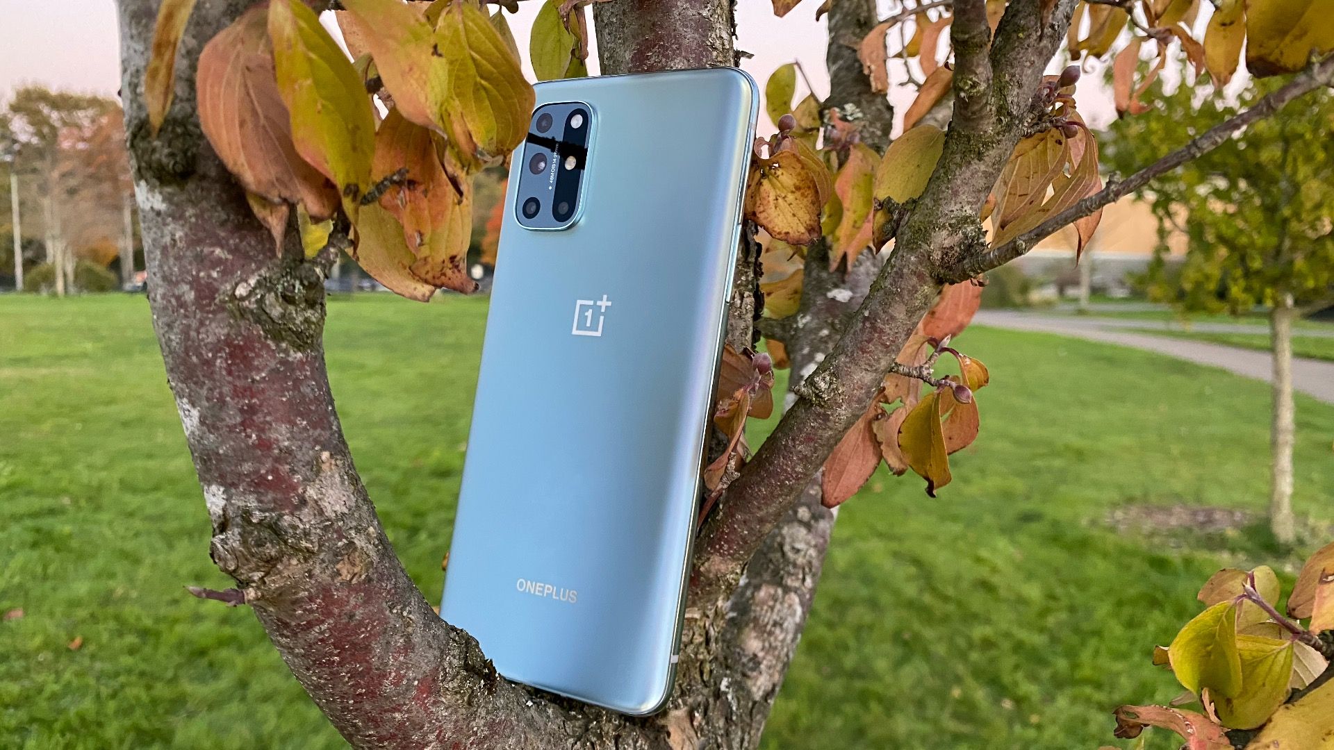 OnePlus 8T Review: A Powerful Phone With a Camera that Can't Compete