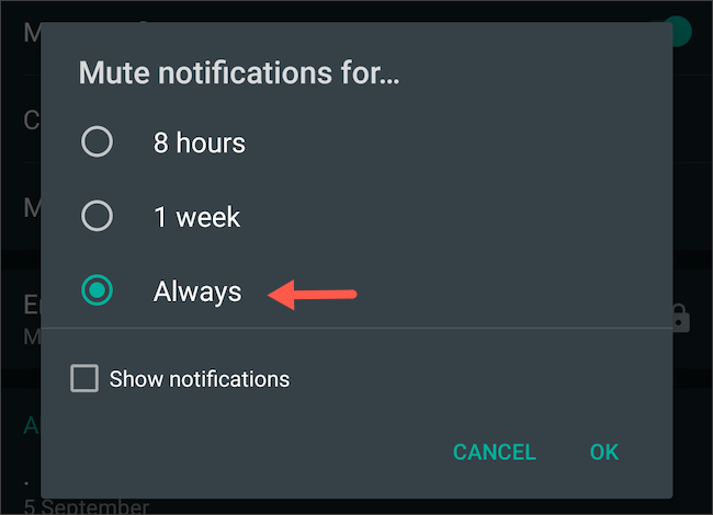 How to Mute a Chat Indefinitely on WhatsApp