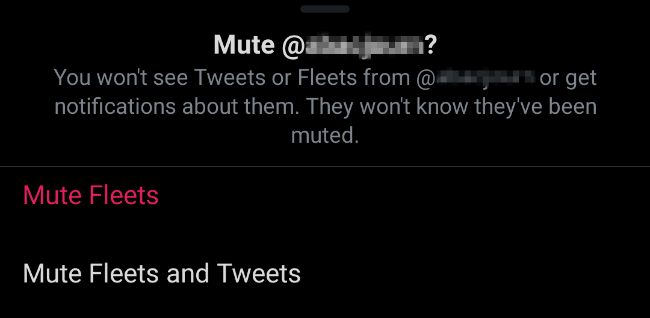 How to Mute Fleets on Twitter