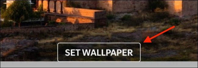 How to Set Different Light and Dark Mode Wallpapers in WhatsApp