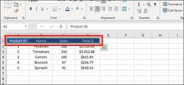 How To Make Sortable Headings In Excel