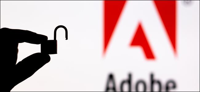 How to Use Adobe Flash in 2021 and Beyond
