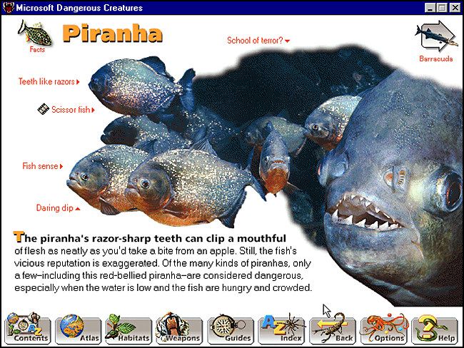 Dogs, Dinosaurs, and Wine: The Lost CD-ROMs of Microsoft