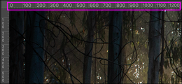 How To Change Ruler Units In Adobe Photoshop