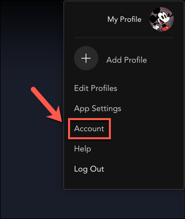 How to Change Your Account Email Address on Disney+