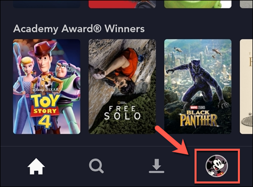 How to Change Your Account Email Address on Disney+