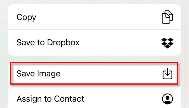 How to Copy an Image or Video from Files to Photos on iPhone or iPad