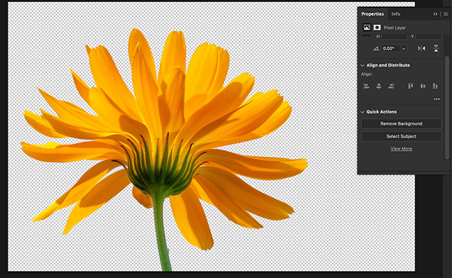 How to Remove a Background in Photoshop