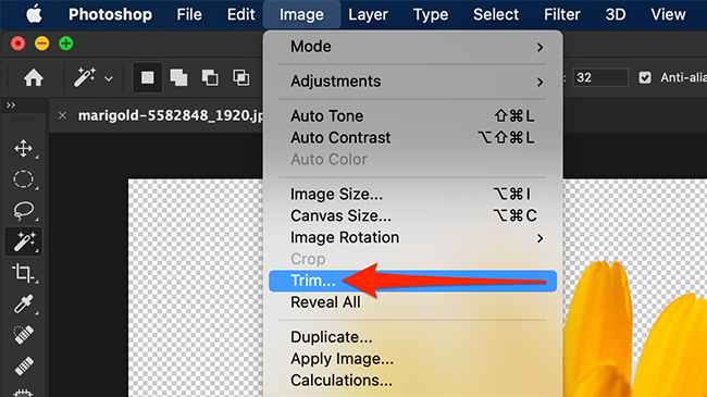 How to Remove a Background in Photoshop