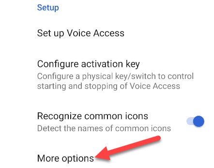 How to Activate Voice Access When Looking at Your Android Phone