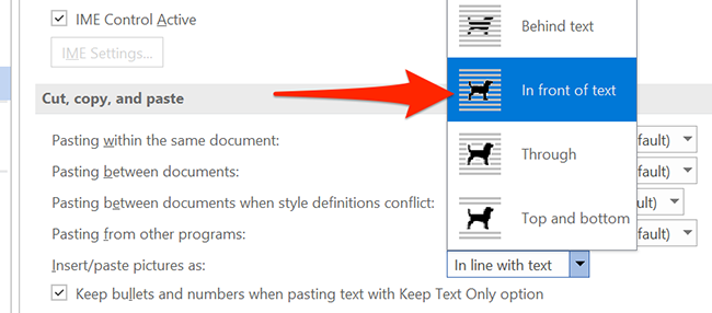 How to Freely Move Pictures in Microsoft Word