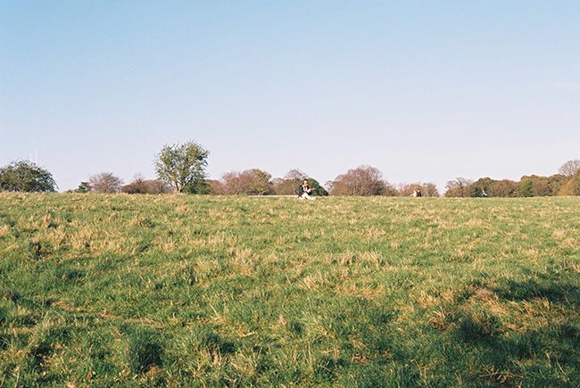 What Is a Vignette in Photography?