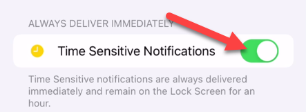 What Are "Time Sensitive" Notifications on iPhone?