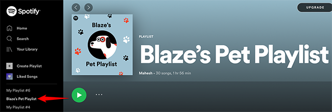How to Make a Spotify Playlist for Your Pet