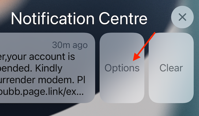 How to Quickly Mute Any Notification on iPhone or iPad