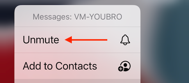 How to Quickly Mute Any Notification on iPhone or iPad