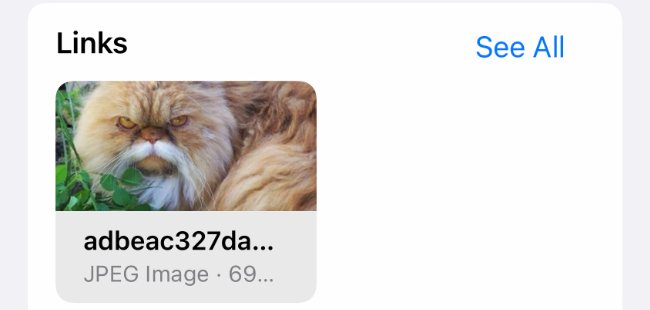 What Is "Shared with You" on iPhone and iPad?