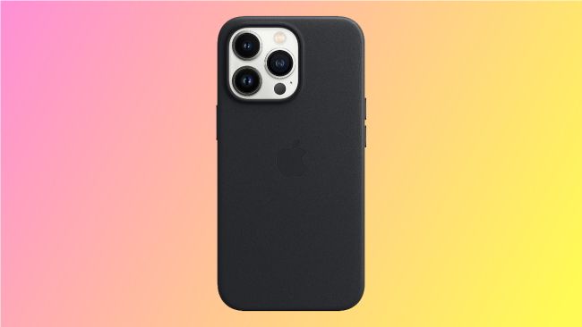 The Best iPhone 13 Pro Cases of 2023