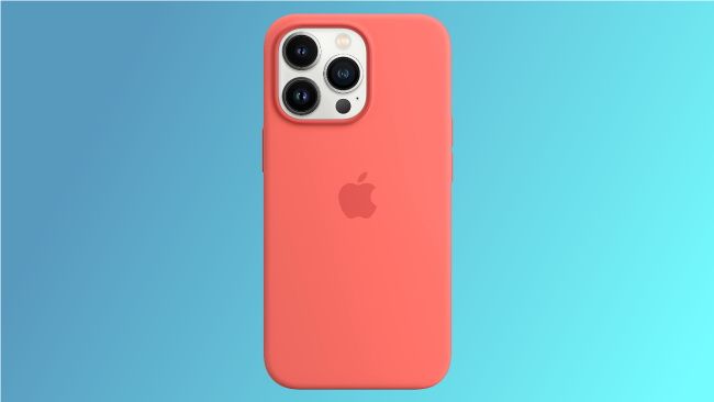 The Best iPhone 13 Pro Cases of 2023